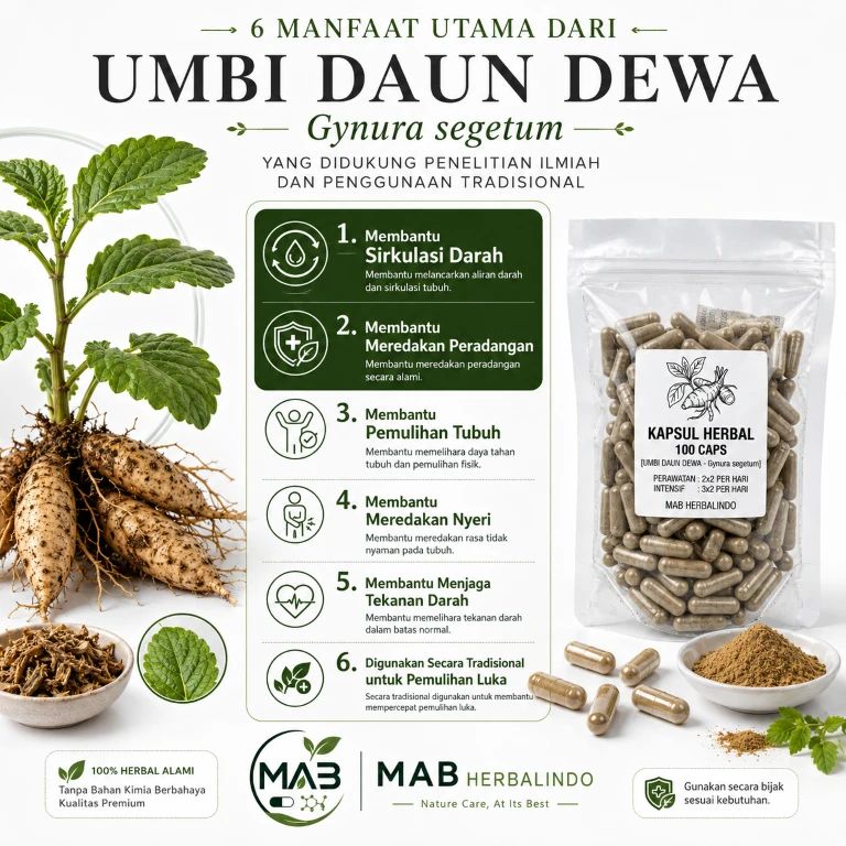 Promo Umbi Daun Dewa | Gynura – Kapsul Simplisia 100 Kapsul – Membantu ...
