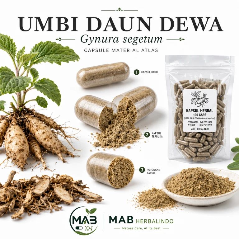 Promo Umbi Daun Dewa | Gynura – Kapsul Simplisia 100 Kapsul – Membantu ...