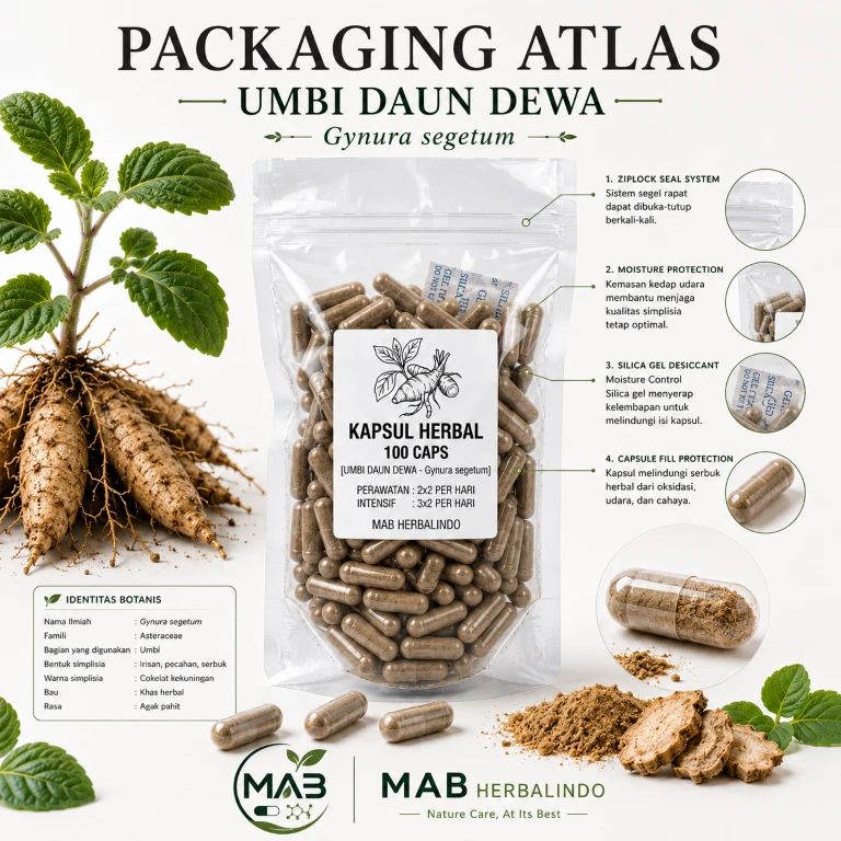 Promo Umbi Daun Dewa | Gynura – Kapsul Simplisia 100 Kapsul – Membantu ...