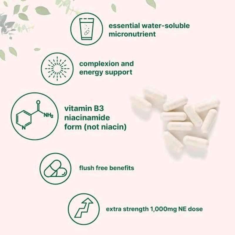 Promo Microingredients Niacinamide B3 1000mg Original Usa Suplemen ...