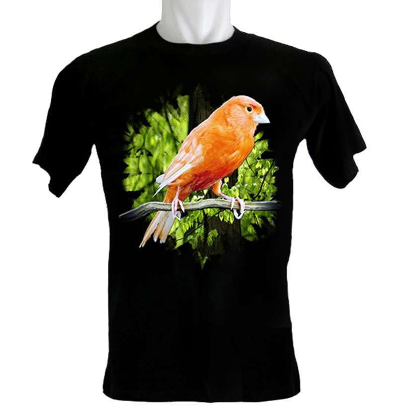 Kaos Burung Gratis Ongkir 🏷️ Harga Murah Juni 2026