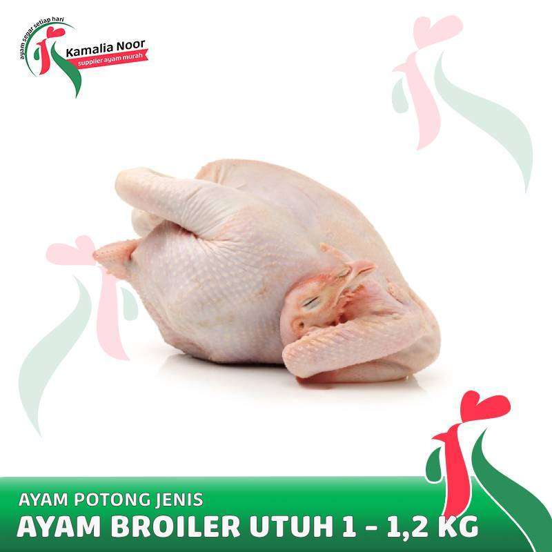 Promo Ayam Utuh Fresh 1 Kg - 1,2 Kg ( Ayam Potong Tanpa Bulu ) Bukan ...