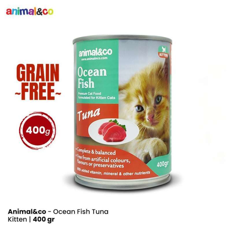 Jual Animal & Co Wet Food Can 400 Gr | Makanan Kucing Basah Animal&co ...