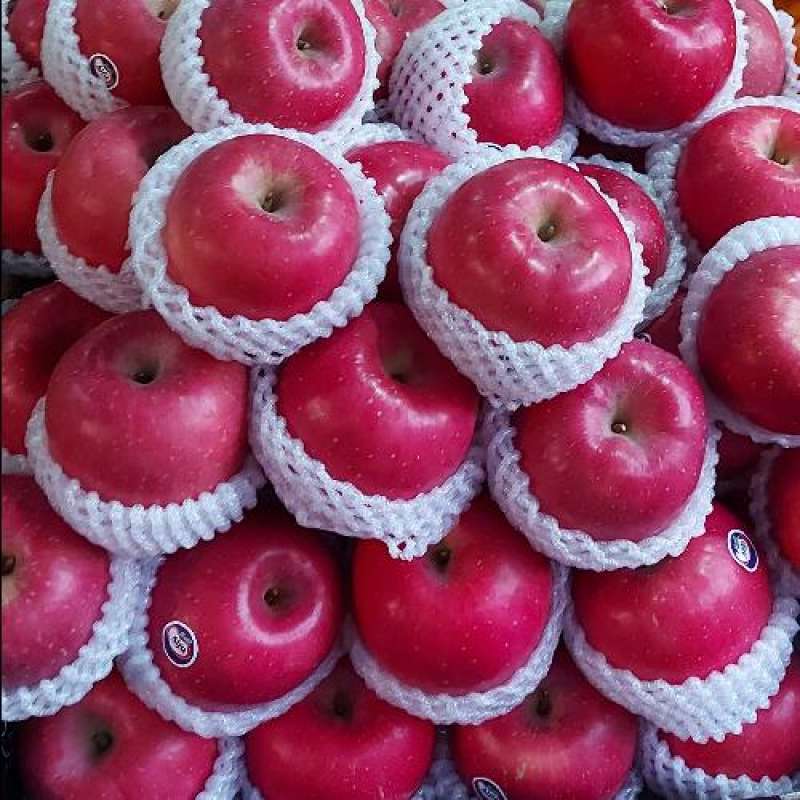 Apel Fuji 1 Kg 🔥 - Terlengkap & Harga Terbaru Mei 2026