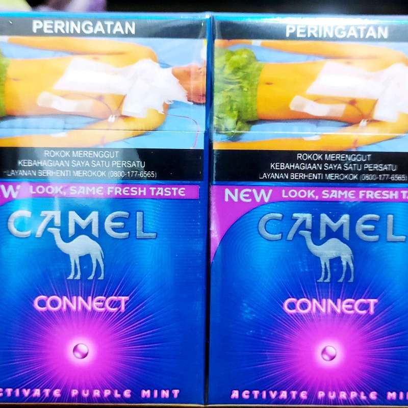 Camel Purple 20 🔥 Harga Grosir Mei 2026
