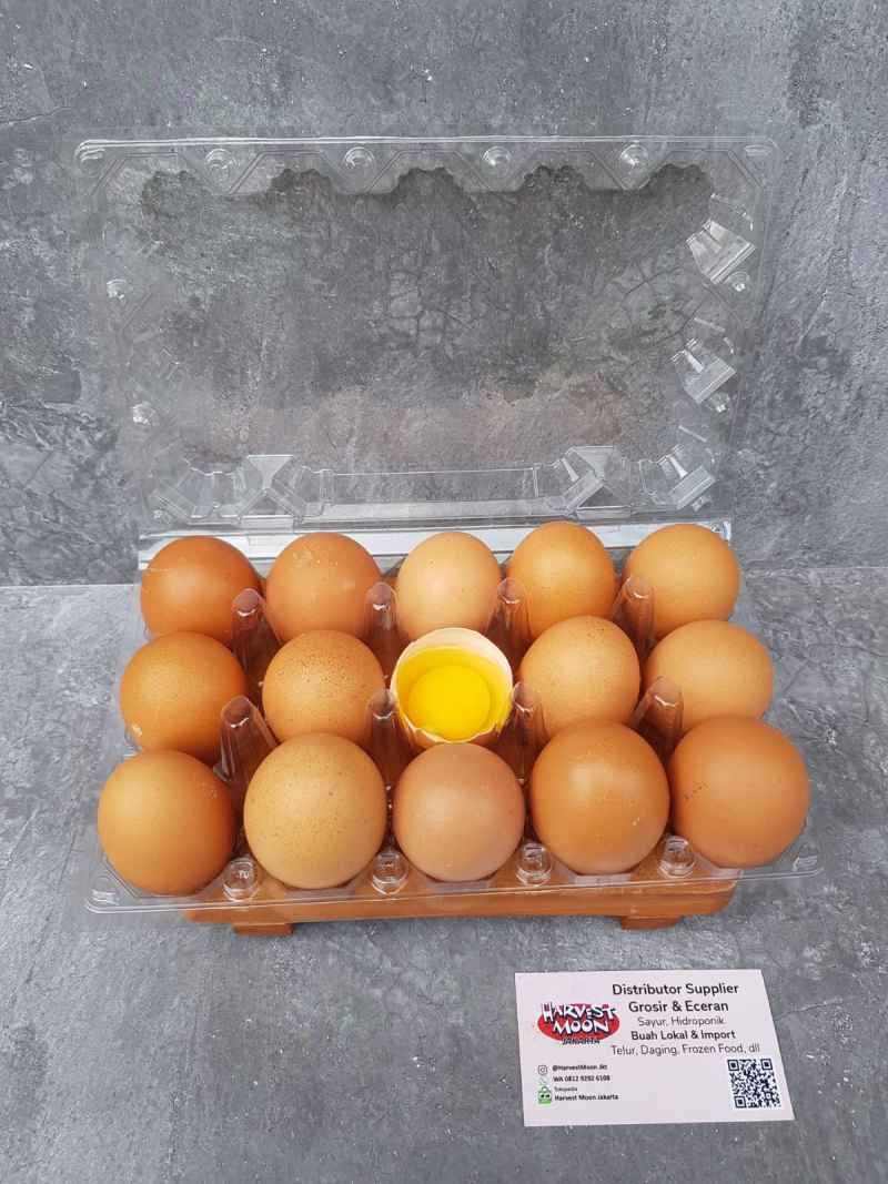 Telur Ayam 1 Peti Gratis Ongkir 🔥 Harga Murah Juni 2026