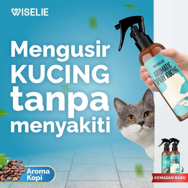 kucing li