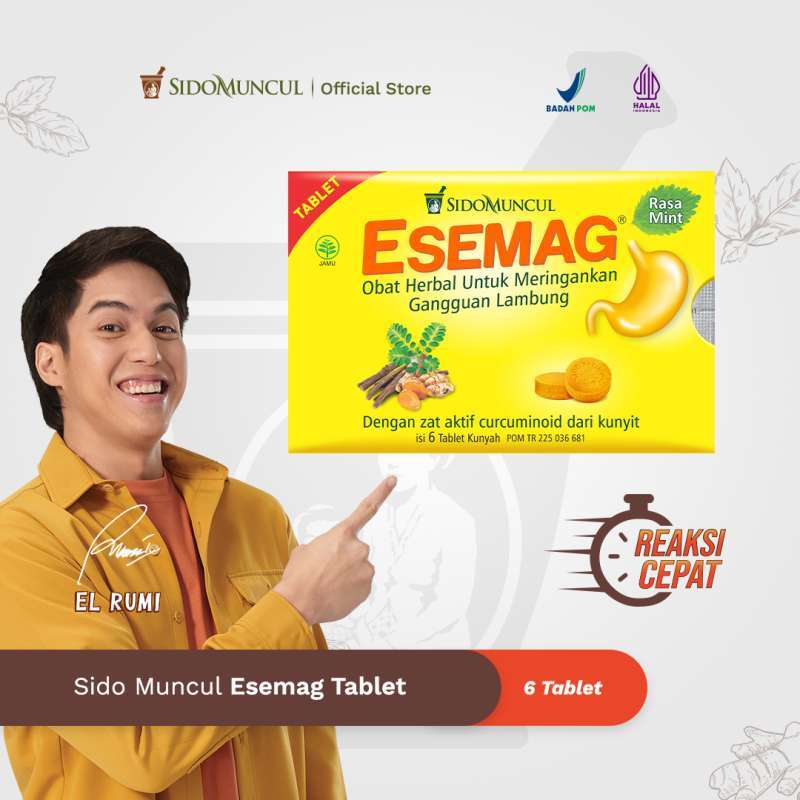 Jual Esemag Tablet Harga Terbaru Mei 2026