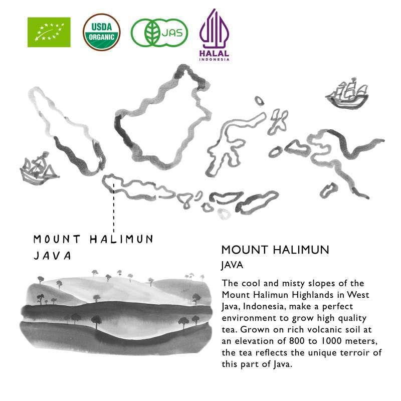 Jual East Java & Co Organic Green Tea - Loose Leaf 40g (teh Hijau ...