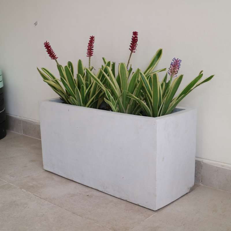 Jual Pot Tanaman Panjang Bahan Semen Planter Box Large Pxlxt ...