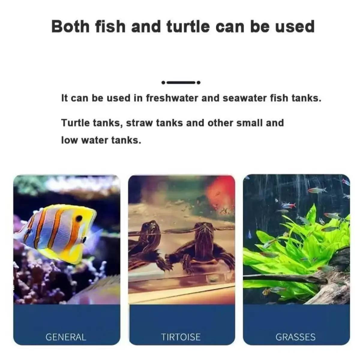 Jual Aquarium Mini Terlengkap - Harga Terbaru Mei 2026