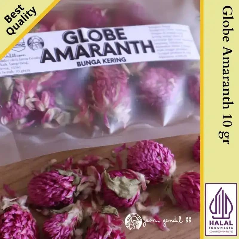 Jual Globe Amaranth Flower Tea - Teh Bunga Globe Amaranth Di Seller ...