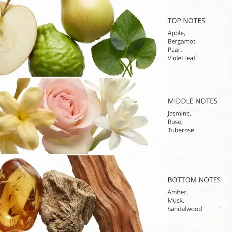 Jual Stella Reed Diffuser Refill - Rosewood Harmony Di Seller Godrej ...