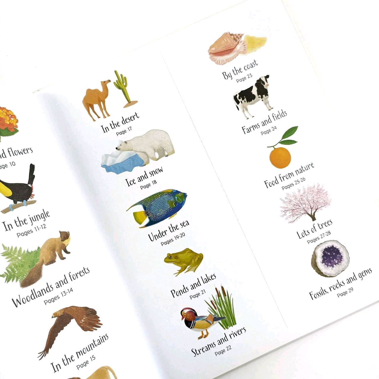 Jual Usborne 1000 Things In Nature Di Seller Minibabycare Books ...