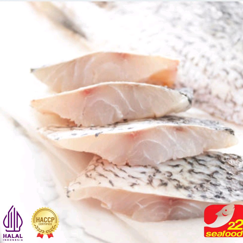 Jual Ikan Kakap Fillet Termurah - Harga Grosir Terupdate Hari Ini | Blibli