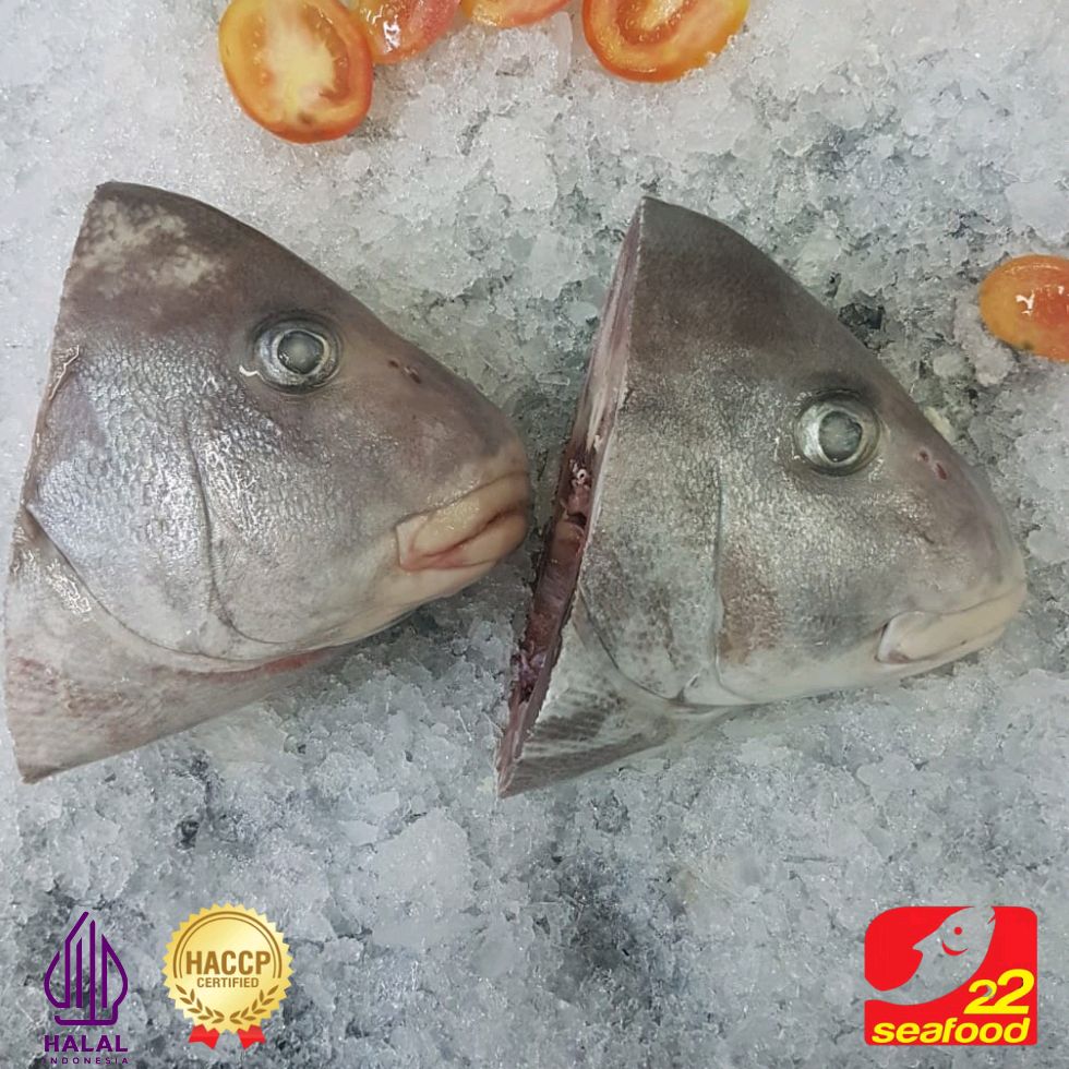 Jual Kepala Ikan Kaci-kaci 1kg - 22 Seafood Halal di Seller 22 Seafood ...