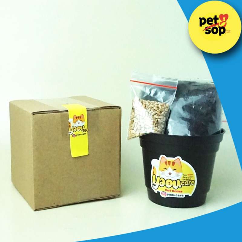 Promo DIY RUMPUT KUCING PAKET LENGKAP Pot/Media/Benih 20gr Diskon 13% ...