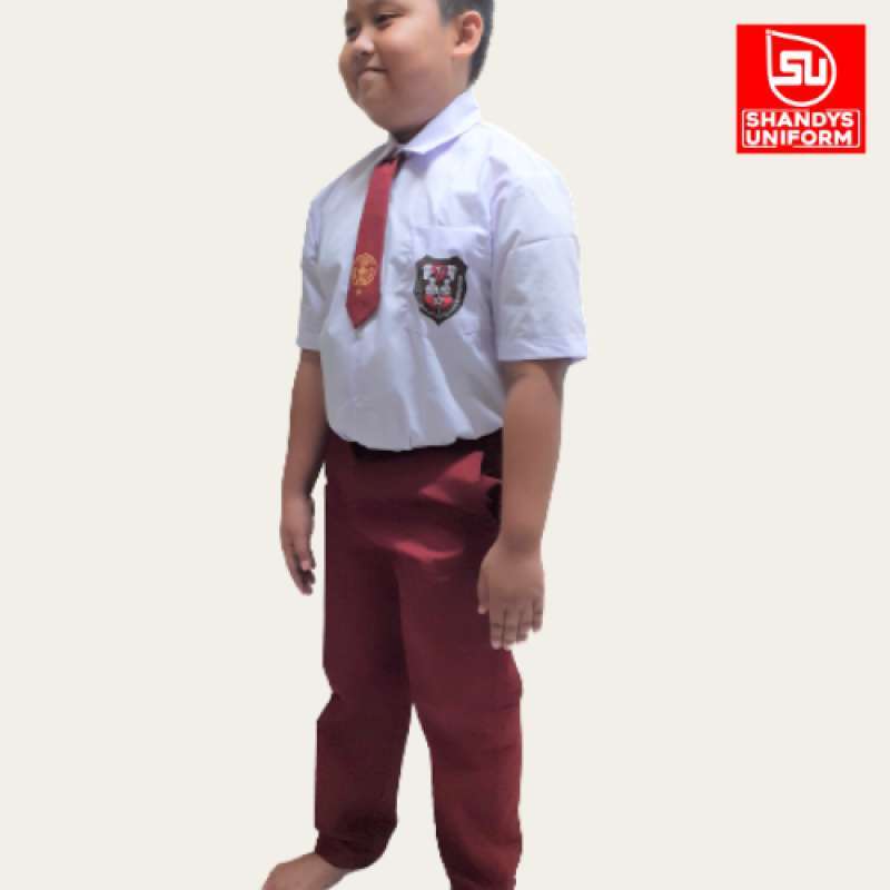 Promo Shandys Uniform I Baju Seragam Sd Negeri Warna Putih Lengan ...