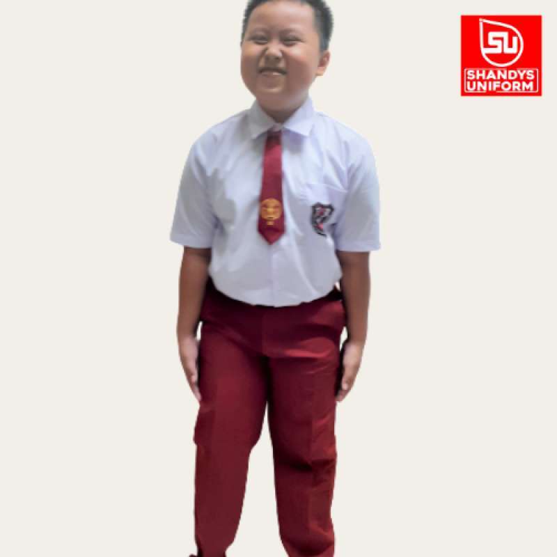 Promo Shandys Uniform I Baju Seragam Sd Negeri Warna Putih Lengan ...
