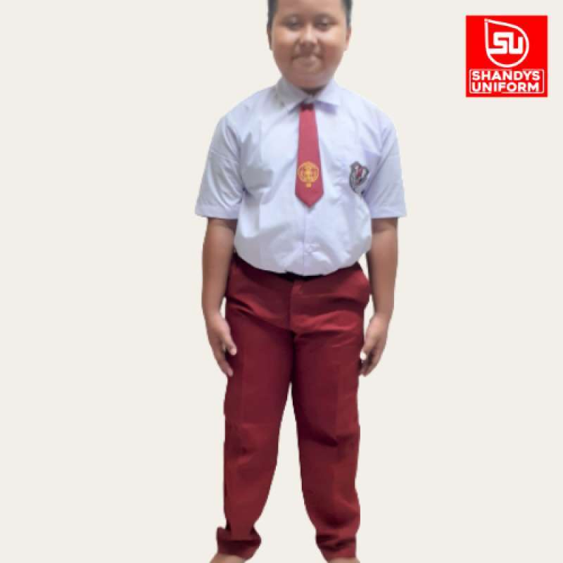 Promo Shandys Uniform I Baju Seragam Sd Negeri Warna Putih Lengan ...