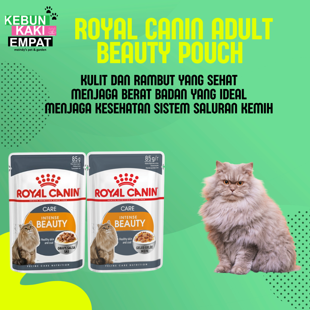 Jual Royal Canin Intense Beauty Pouch Adult Wet Food 85 gr di Seller ...