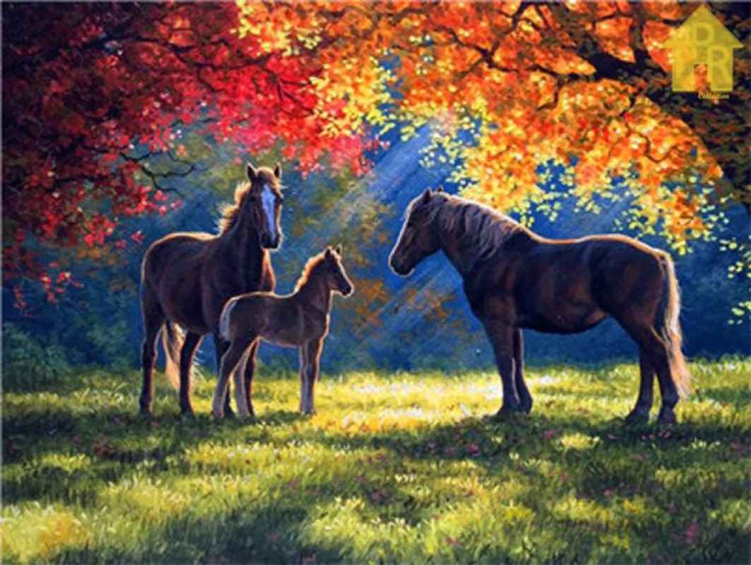 Jual Diy Set Melukis Painting By Number Kit Animal 40x50cm Part 4 ...