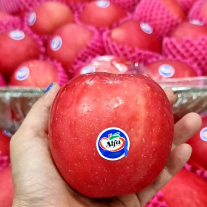 Jual Apel Fuji Alfa (1Kg) Semarang di Seller DolbuahGo - Jangli, Kota ...