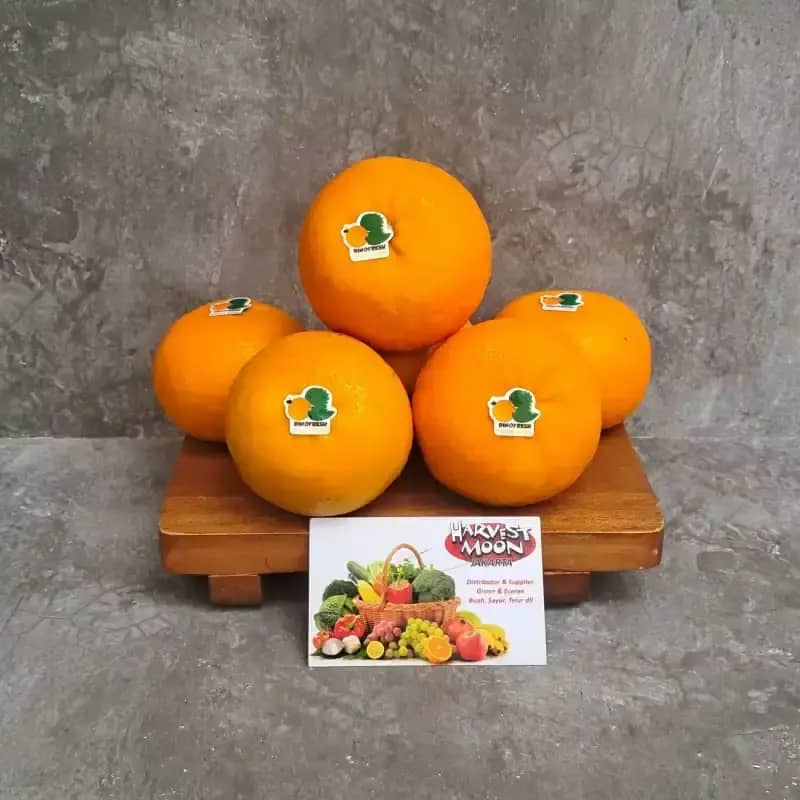 Jual Jeruk Wogan Mandarin Harga Grosir Maret 2026