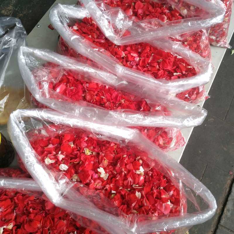 Jual Bunga Mawar Tabur Di Seller Aurel Florist - Palmerah, Kota Jakarta ...