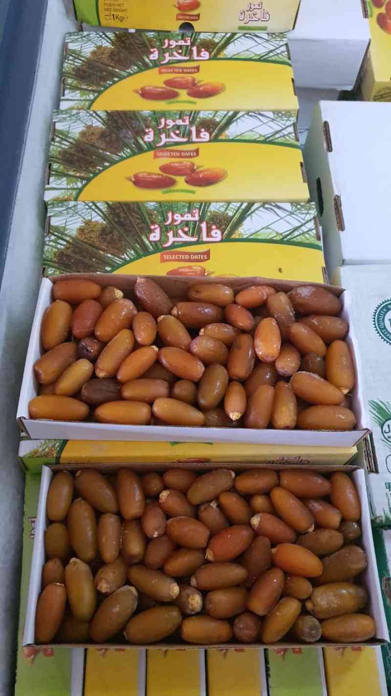 Jual Kurma Ruthob Libya Non Tangkai 2 kg/Kurma Muda Libya/Kurma Muda ...