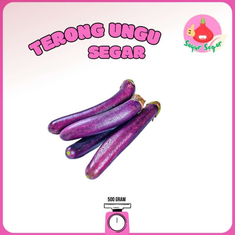 Terong Ungu 1 Kilo Gratis Ongkir 🏷️ Harga Murah Juni 2026