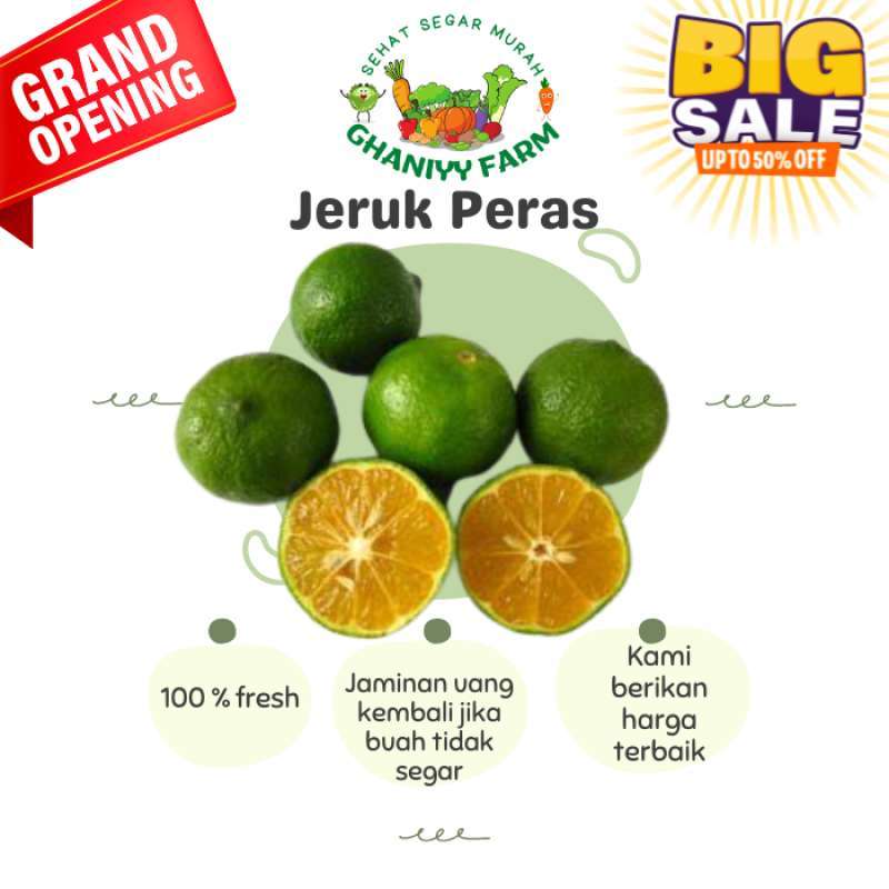Jual Jeruk Peras Fresh di Seller Ghaniyy Farm - Kalideres-2, Kota ...