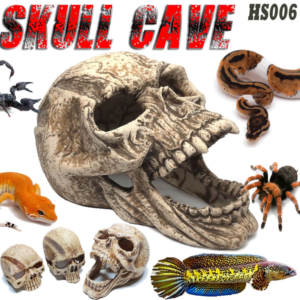 Promo HS006 HIDING CAVE SKULL KERANGKA KEPALA MANUSIA HUMAN SKELETON ...
