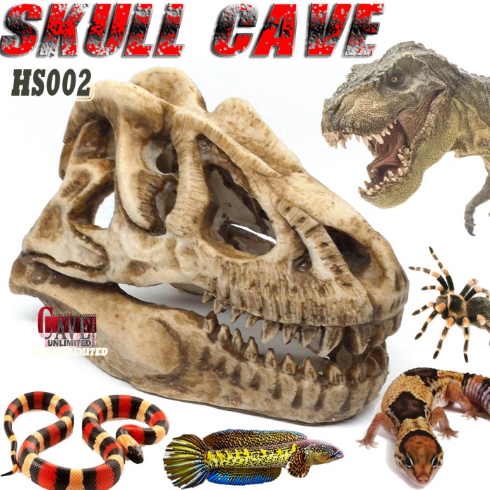 Promo Hs002 Hidding Cave Skull Kerangka Tyrannosaurus T-rex Dinosaurus ...