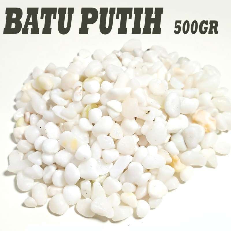 Promo Mt008d Kandang Full Set Reptilia Terrarium Pacman Amphibi Katak ...
