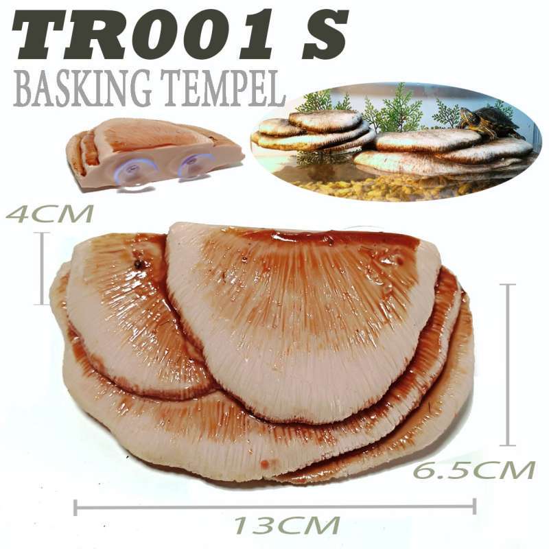 Promo Mt008d Kandang Full Set Reptilia Terrarium Pacman Amphibi Katak ...