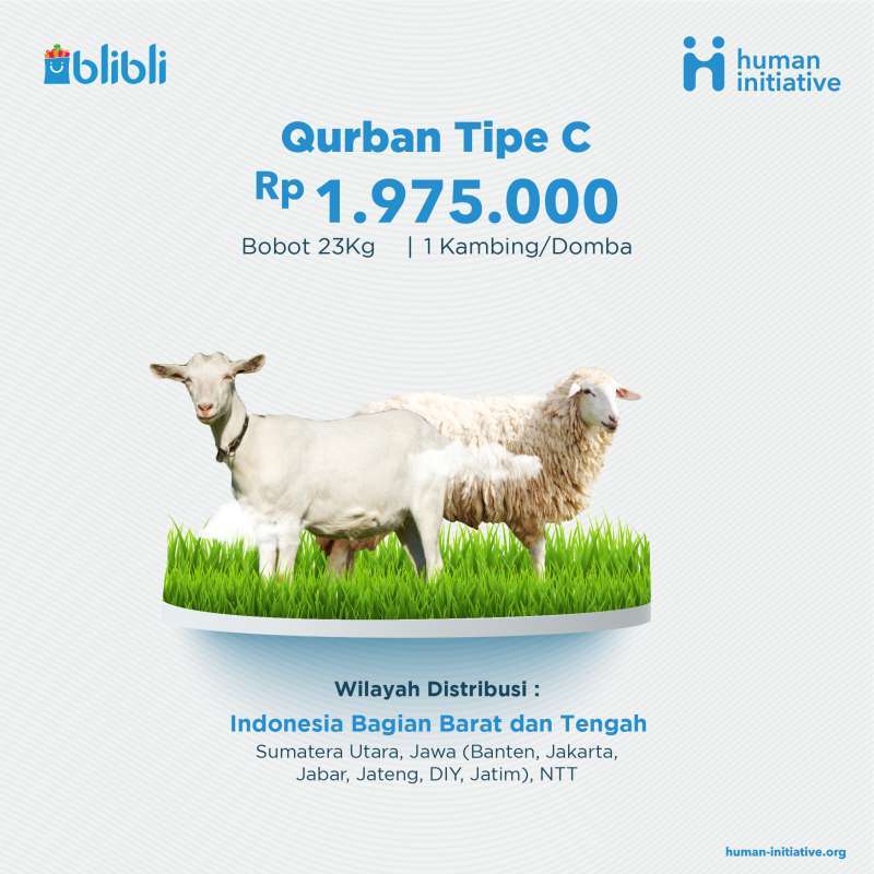 Jual Hewan Qurban Kambing/Domba Tipe D di Seller HUMAN_INITIATIVE - Curug, Kota Depok | Blibli