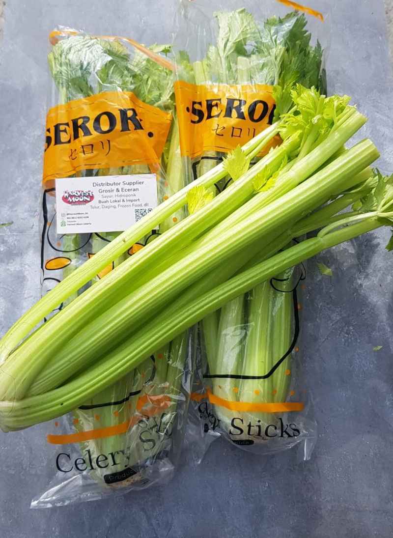 Jual HarvestMoon Serori Celery Stick Import 1kg FRESH Best Quality ...