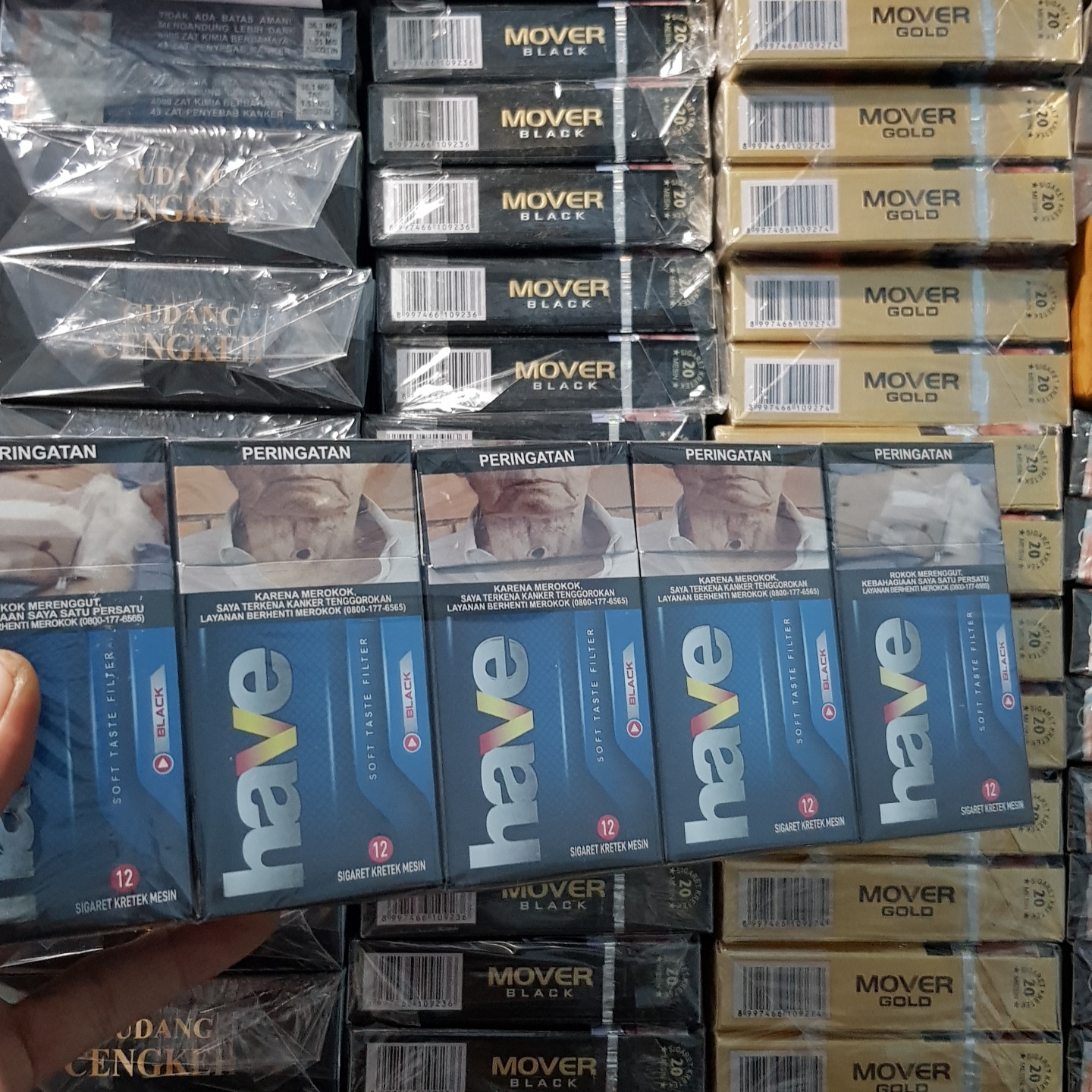 Jual Rokok Have Filter - 12 Batang Cukai 2022 Di Seller Chenko Dirga ...