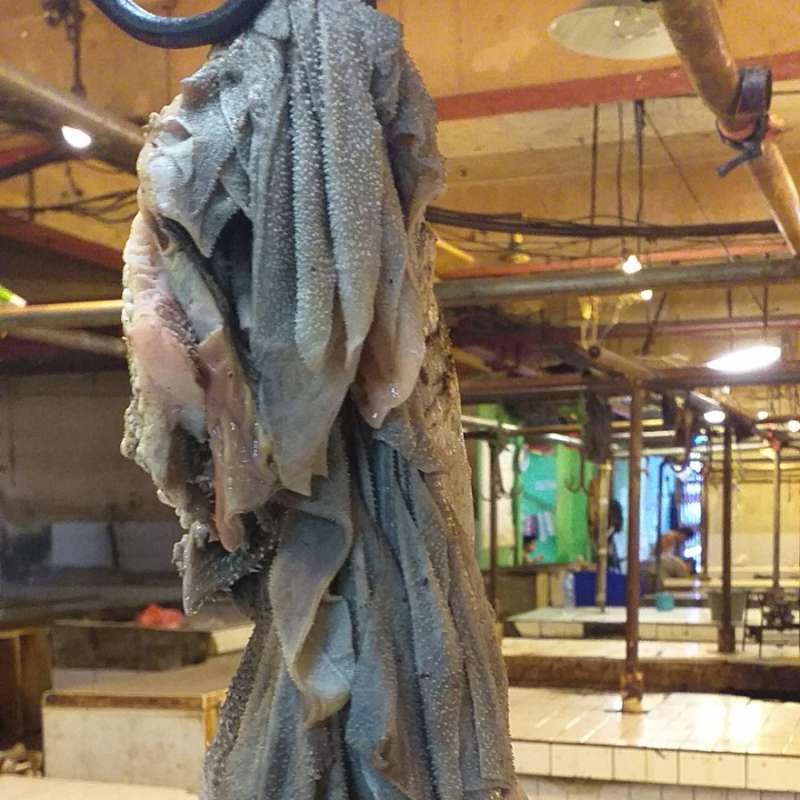 Jual Babat Jarit Sapi Lokal Jeroan Di Seller Meat Time 24/7 - Toko ...