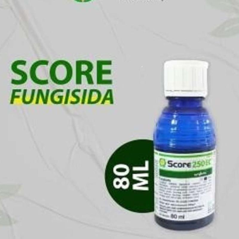 Jual 80 ML FUNGISIDA PLUS ZPT SCORE 250 EC pengendali penyakit tanaman ...