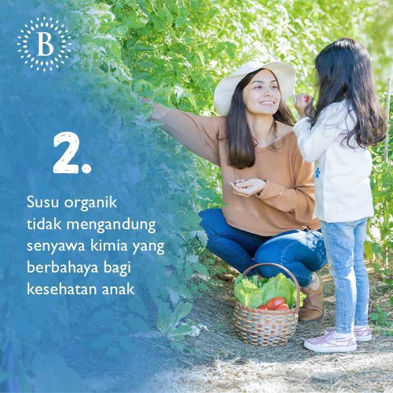 Jual Susu Bellamys Organic Step 2 Follow On Formula 6-12 Months - Susu ...
