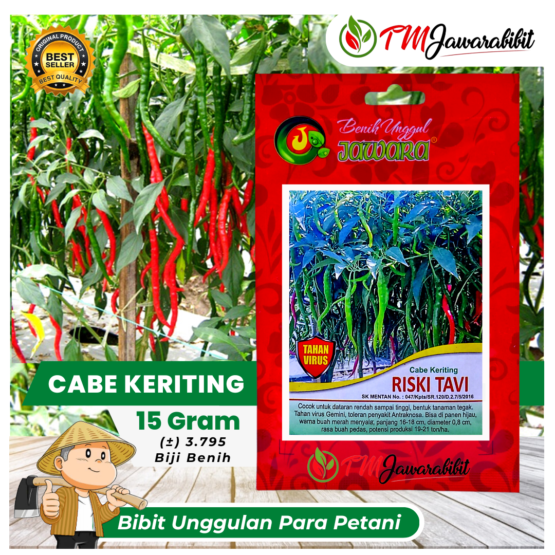 Jual Isi 15 Gram Bibit Cabe Merah Kriting Riski Tavi ( Tahan Virus ...