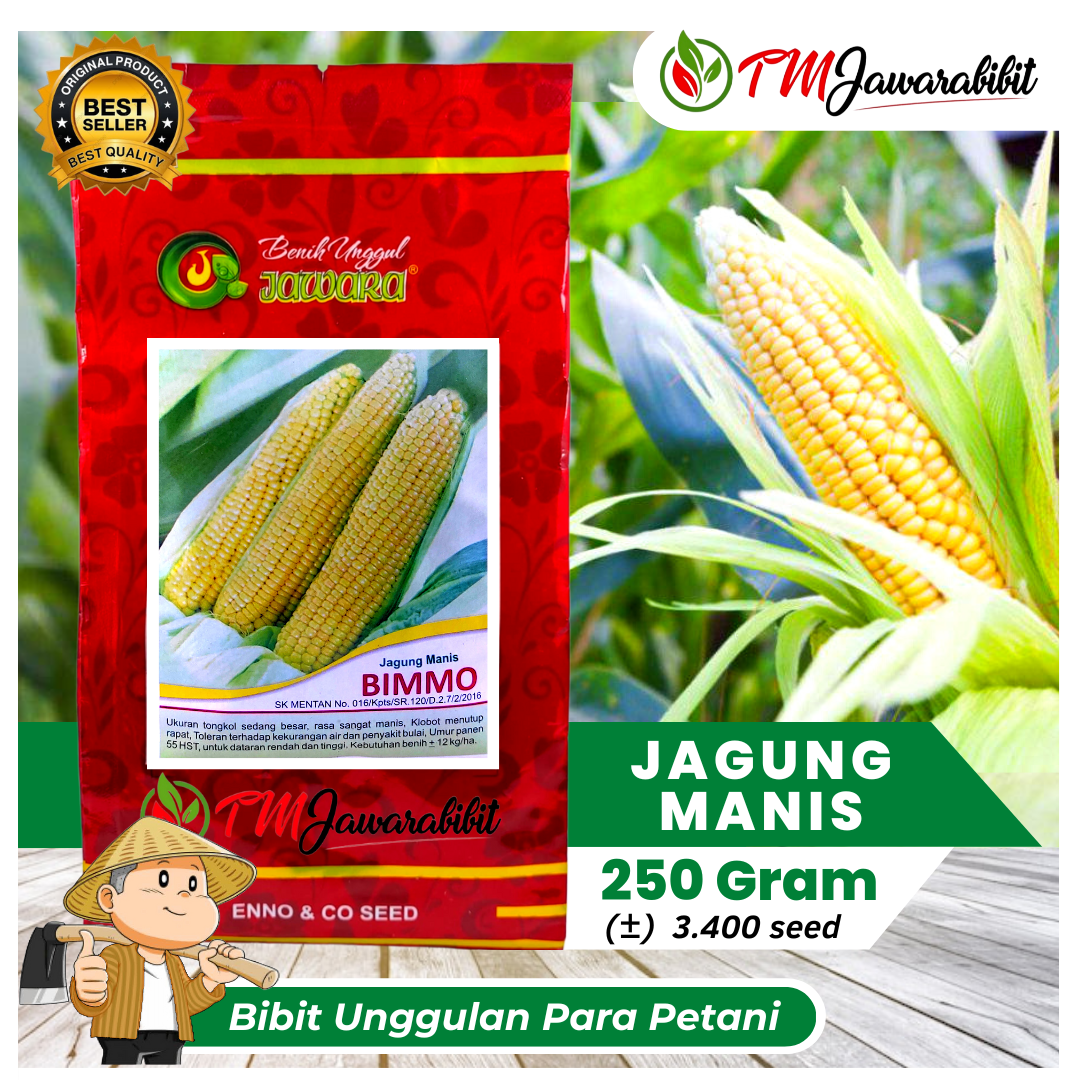 Jual Jawara 13 Gr Original Murah - Harga Diskon Maret 2024 | Blibli.com