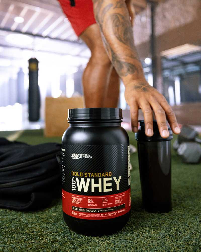 Jual Optimum Nutrition Whey Protein Gold Standard 1lb Vanilla Susu ...