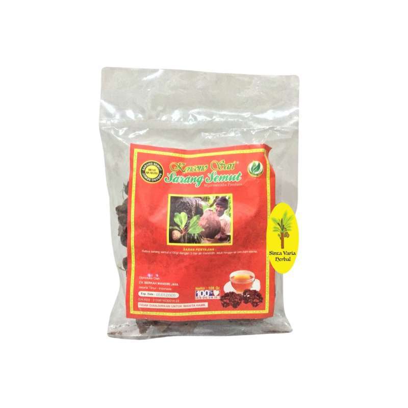 Jual Sarang Semut Papua,sarang Semut,sarmut,original,asli Di Seller ...