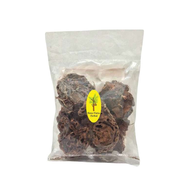 Jual Sarang Semut Papua,sarang Semut,sarmut,original,asli Di Seller ...