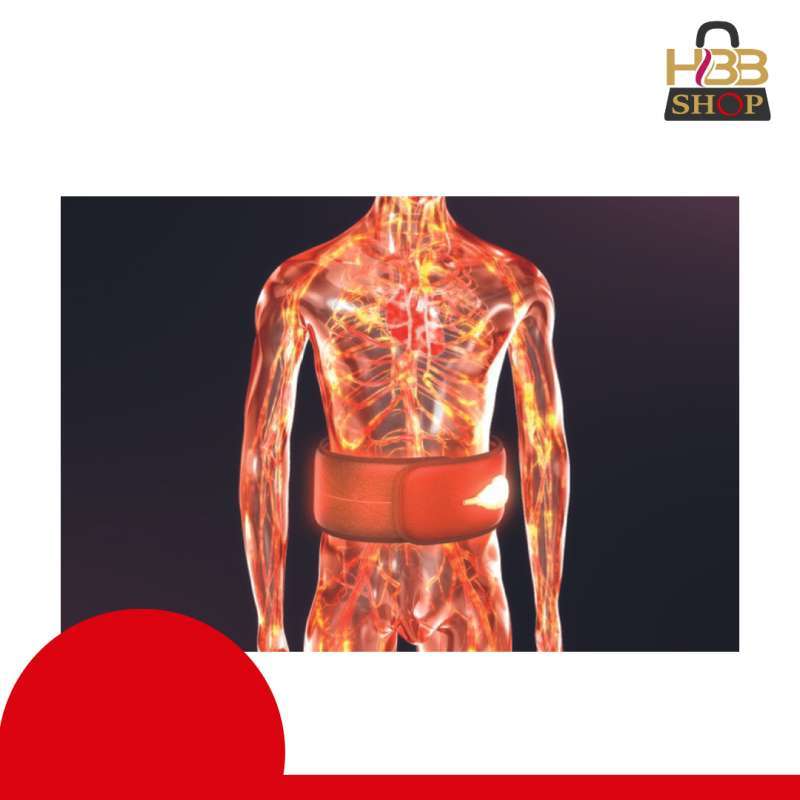 Jual Habibi Electronic Belt - Alat Terapi Penghangat Dan Pemanas ...