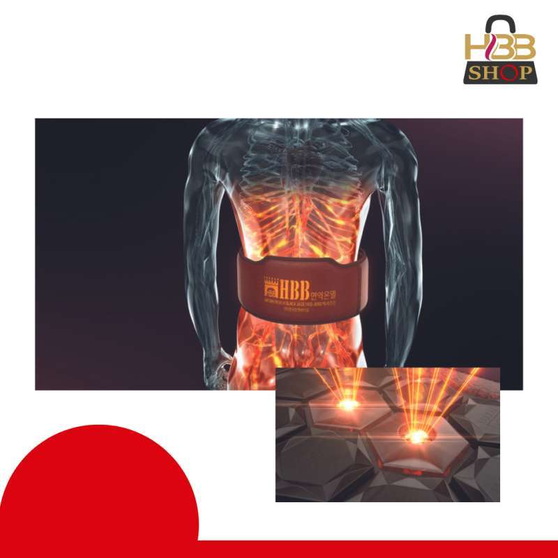 Jual Habibi Electronic Belt - Alat Terapi Penghangat Dan Pemanas ...