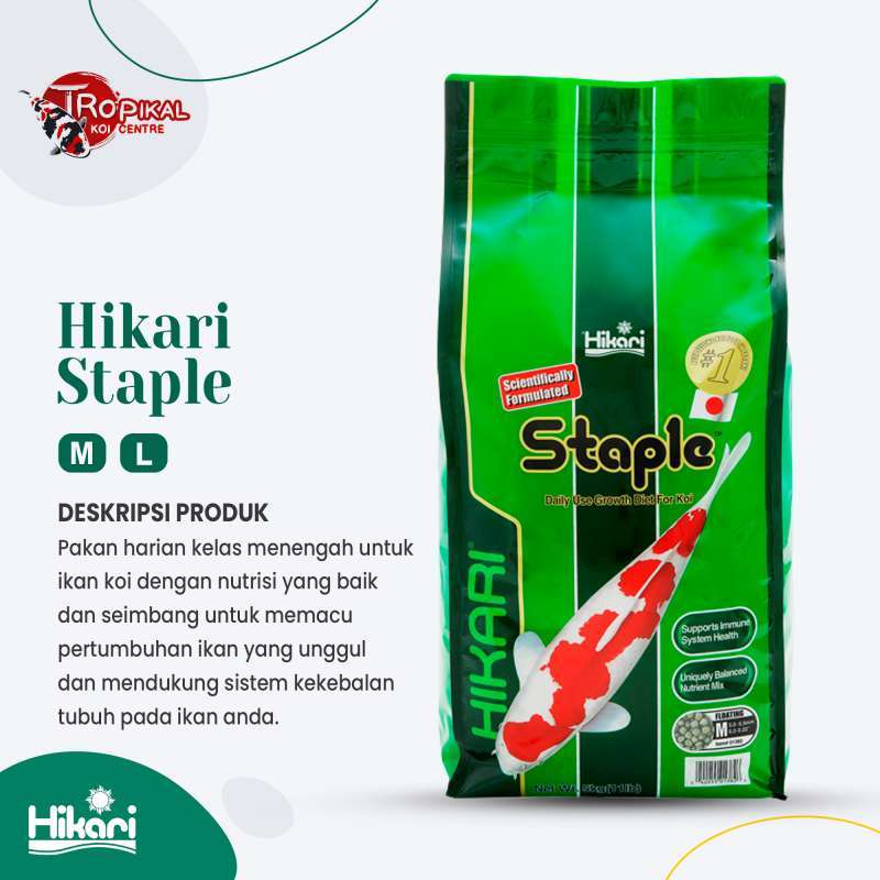 Jual Hikari Staple Termurah - Harga Grosir Terupdate Hari Ini | Blibli